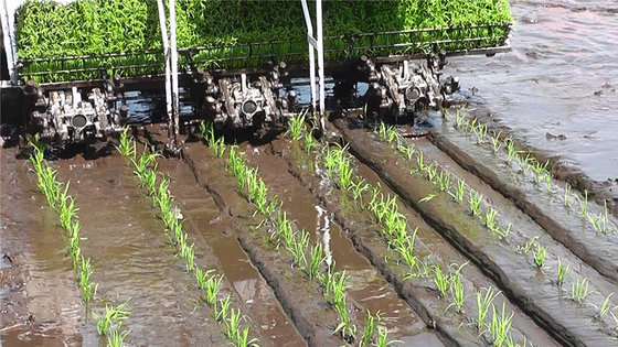 single planting arms paddy rice transplanter 6 rows, row space 120mm-170mm