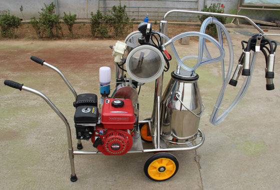 XD32Q Vacuum Pump gasoline-engine driven and electric motor-driven mobile milking machine