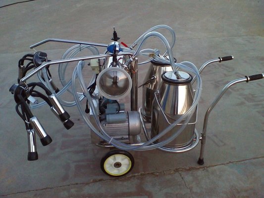 XD32B2  Twin Buckets and Vacuum Pump Electric motor-driven mobile  milking machine