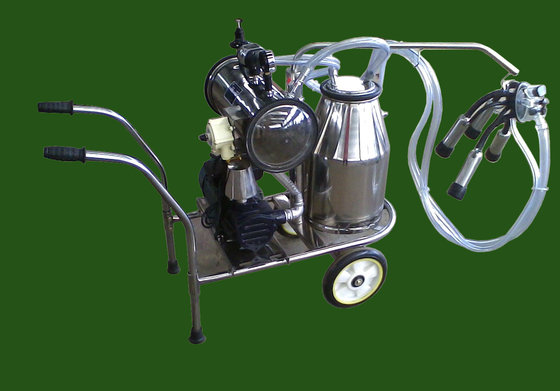 XD32WY-1 single bucket and oilless Vacuum pump Electric motor mobile milking machine
